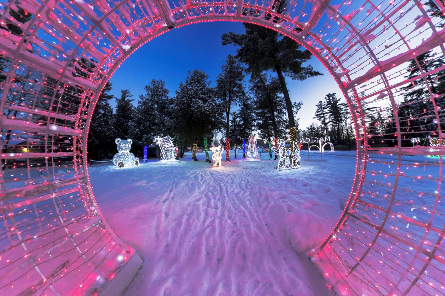 Vivez la Féérie de l'hiver au Parc Safari! - Coup d’œil