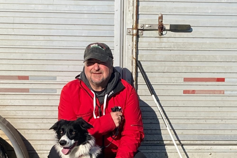 Une belle année de herding pour Daniel Turcotte - Coup d’œil