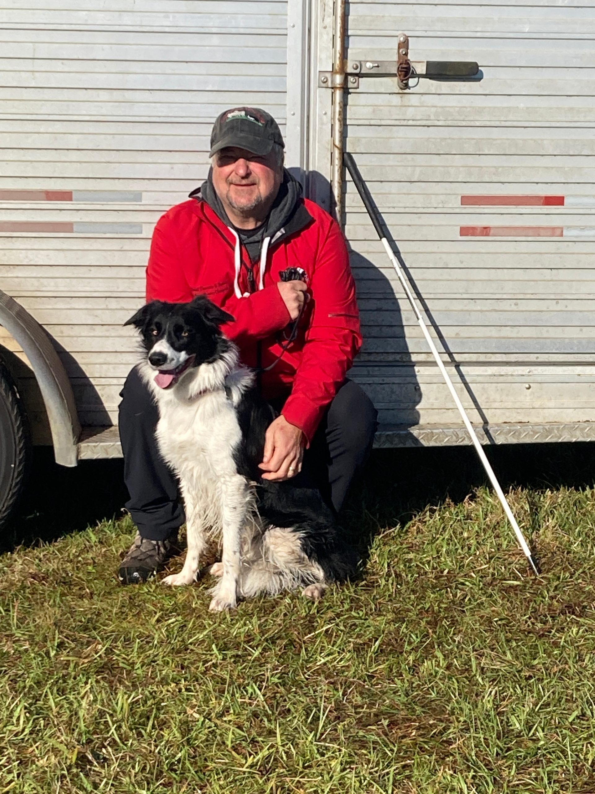 Une belle année de herding pour Daniel Turcotte - Coup d’œil