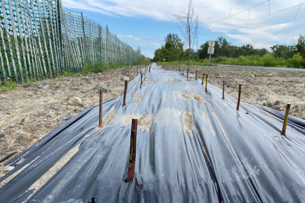 Route 221 à Saint-Rémi: une haie brise-vent pour prévenir l ...